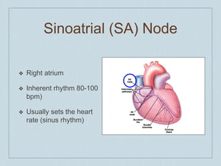 01-BasicCardiology.ppt