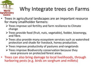Integrating Trees on Farms: What Options are Available | PPT