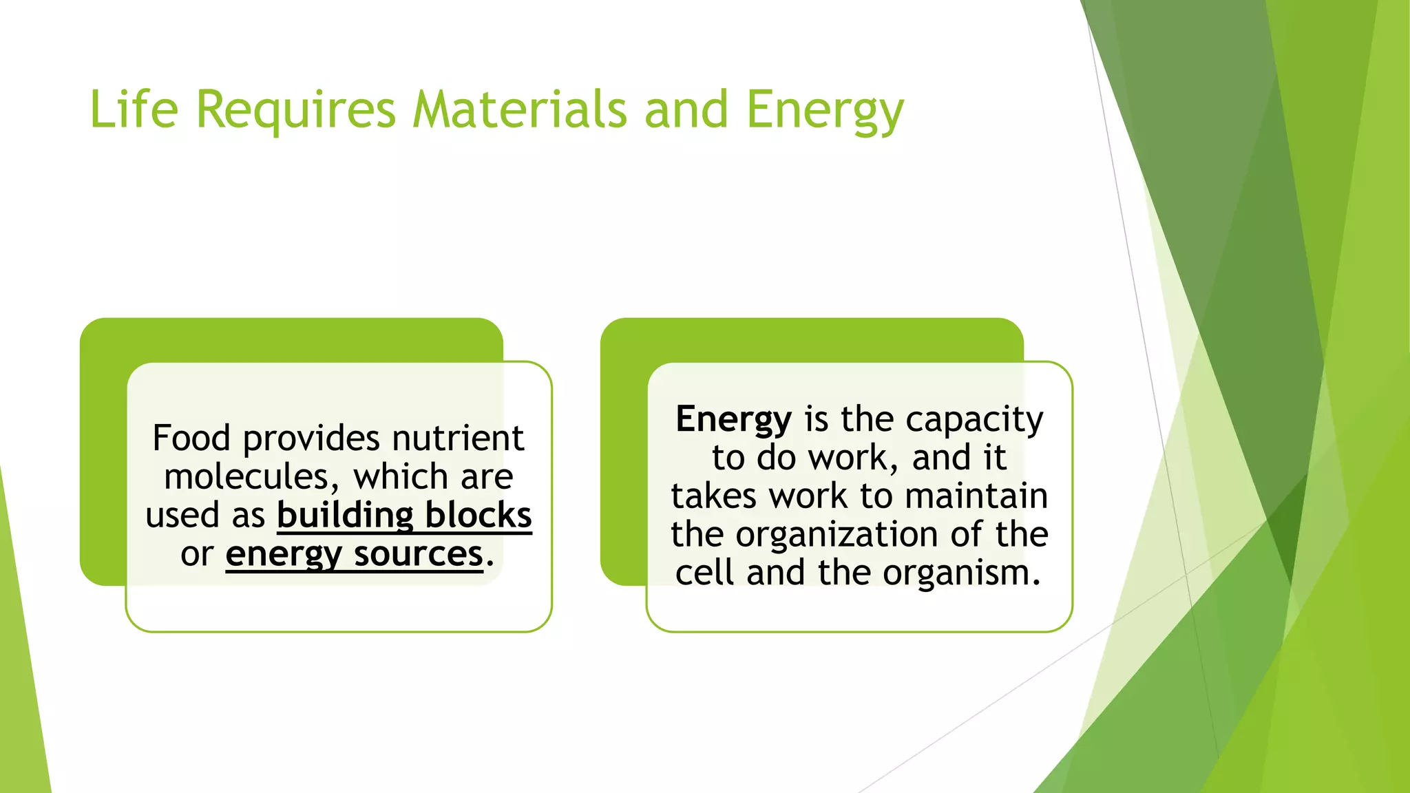 01 biology - characteristics of life | PPTX