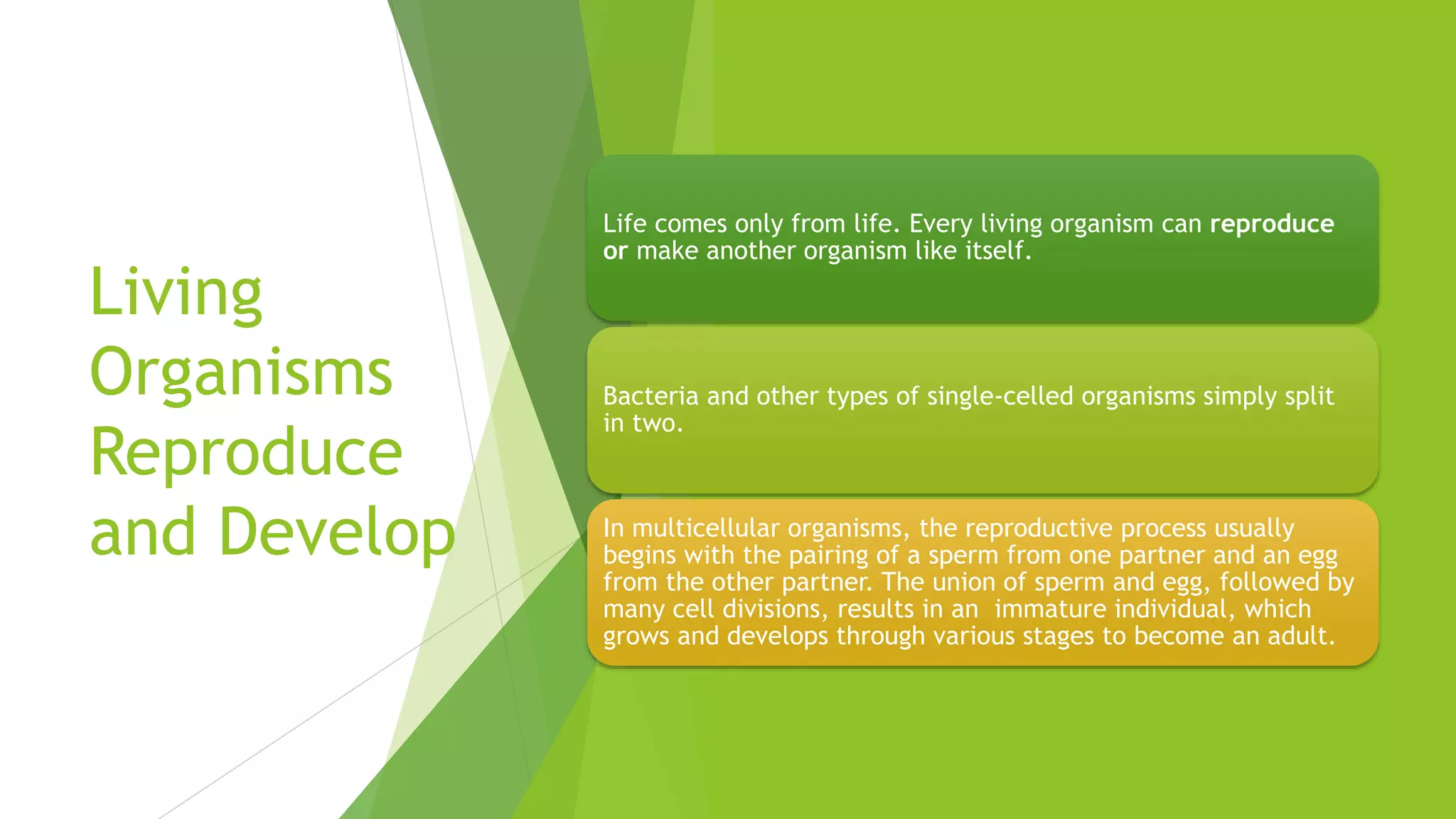 01 biology - characteristics of life | PPTX