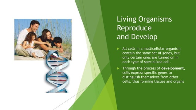 01 biology - characteristics of life | PPTX