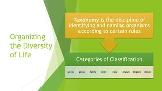 01 biology - characteristics of life | PPTX