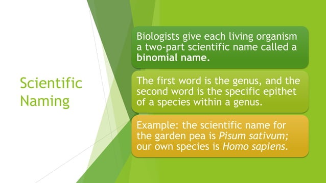 01 biology - characteristics of life | PPTX