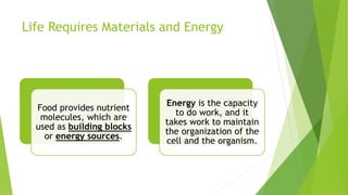 01 biology - characteristics of life | PPTX