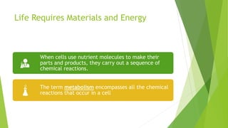 01 biology - characteristics of life | PPTX