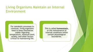 01 biology - characteristics of life | PPTX