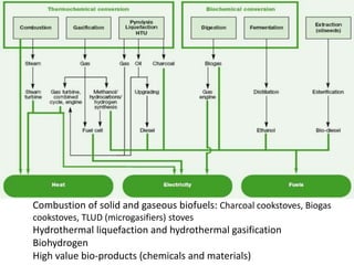 biomass fuels and cook stoves | PPTX
