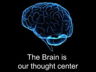 Biology and Behavior Intro and Principles | PPT