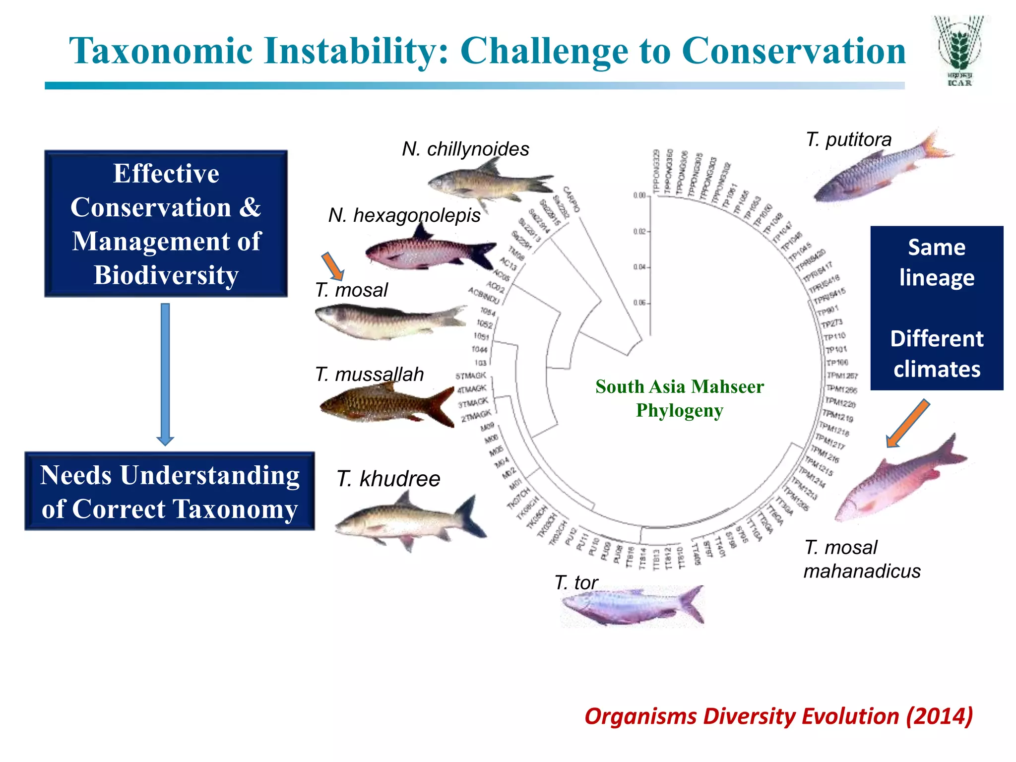 Applications of Biotechnologies in Ex Situ Conservation ...