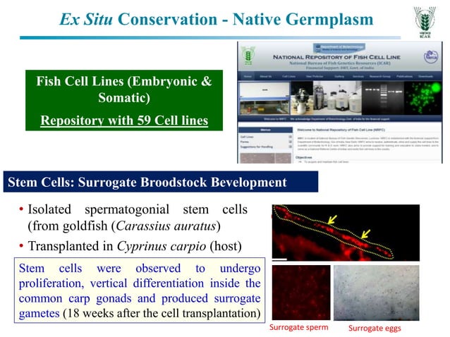Applications of Biotechnologies in Ex Situ Conservation ...