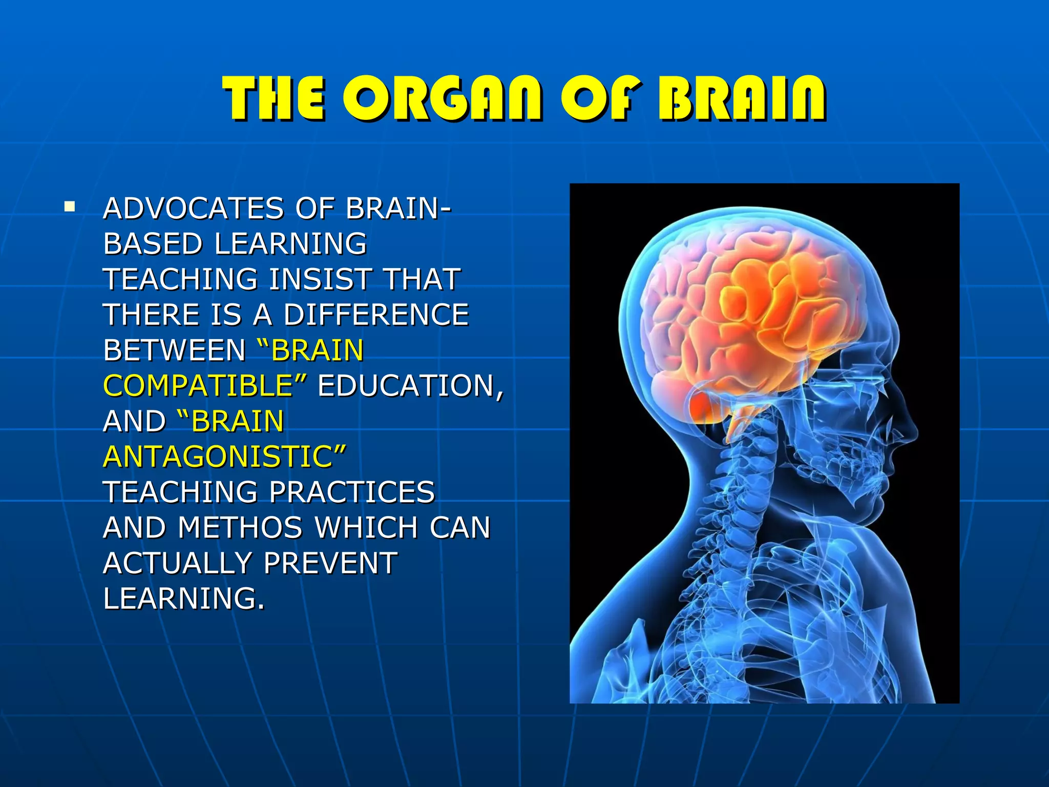 01. brain based-learning | PPT
