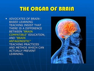 01. brain based-learning | PPT