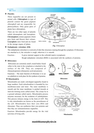 01 cell-and-tissue | PDF