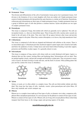01 cell-and-tissue | PDF