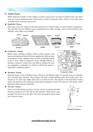 01 cell-and-tissue | PDF