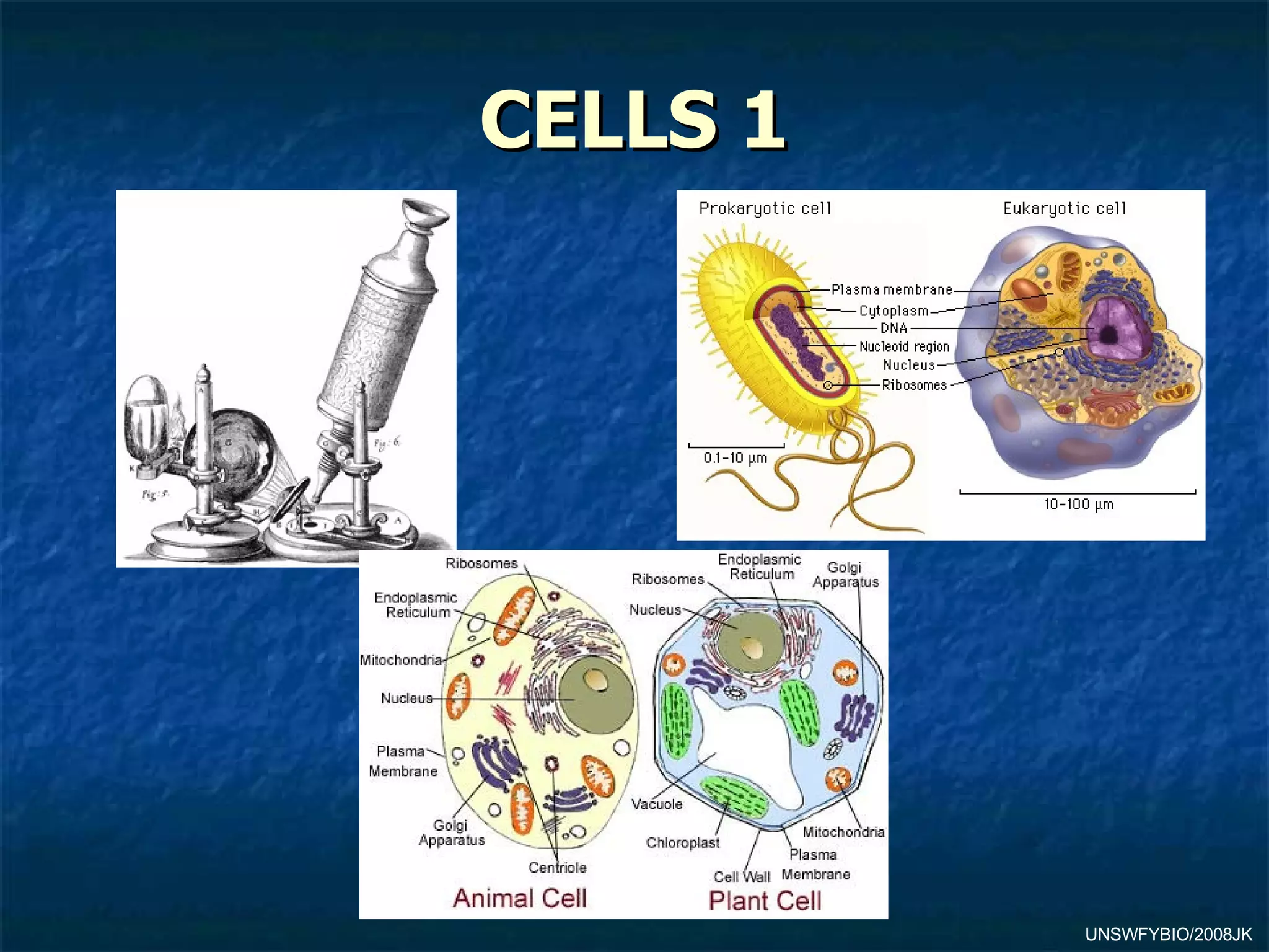 Early Cell Discoveries and Microscopy Techniques | PPT