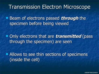 01 Cell Theory And Microcope | PPT | Biological Sciences | Science