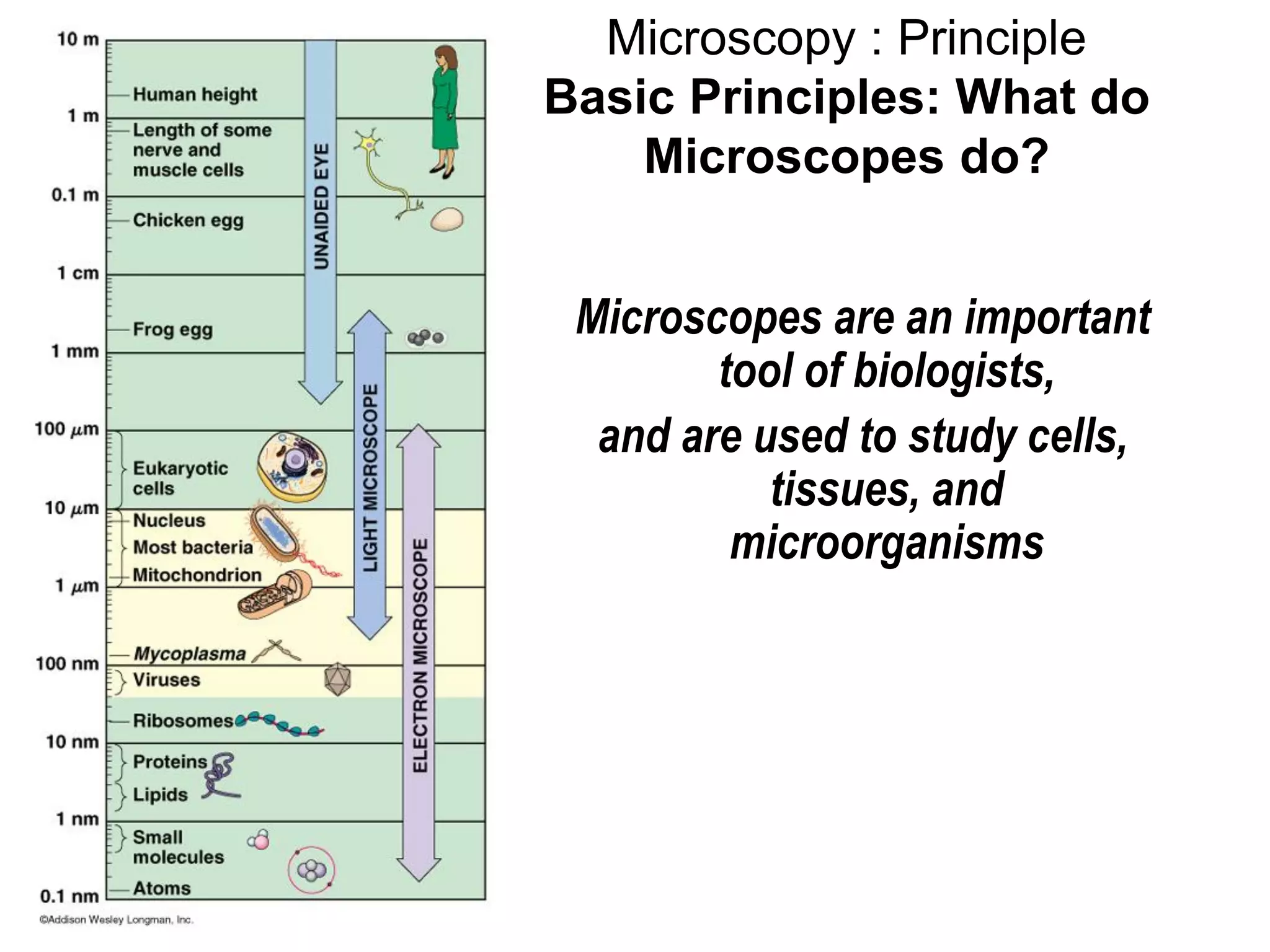 01-CellBio-Microscopy-HVD.pdf