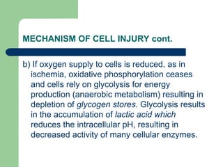 01-CELL INJURY 1.ppt for pathology it is easy | PPT