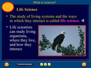 Chapter 1 S1: What is Science | PPT | Geology | Science