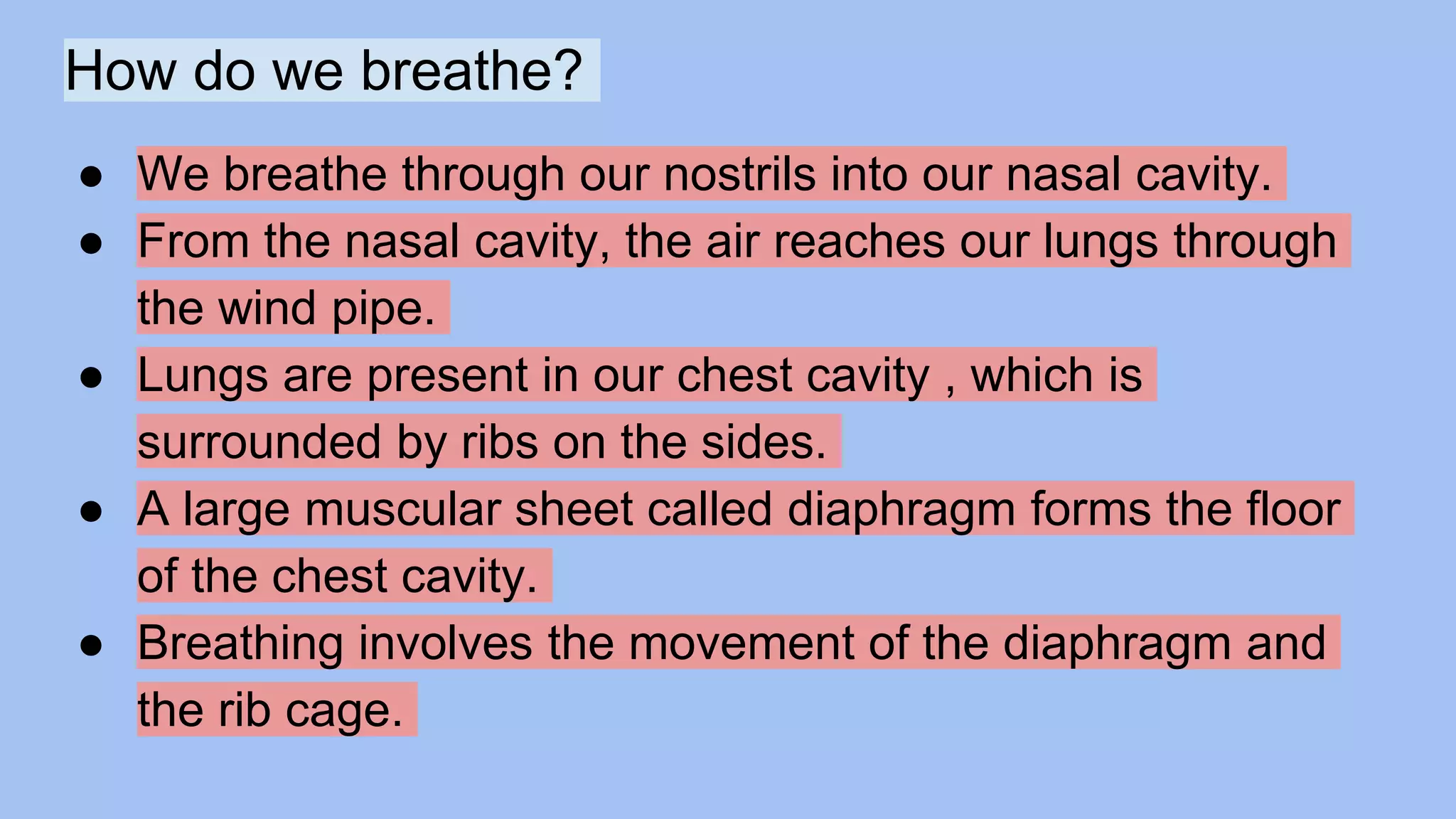 GRADE 7 CBSE CHAPTER 10 RESPIRATION IN ORGANISMS | PPTX