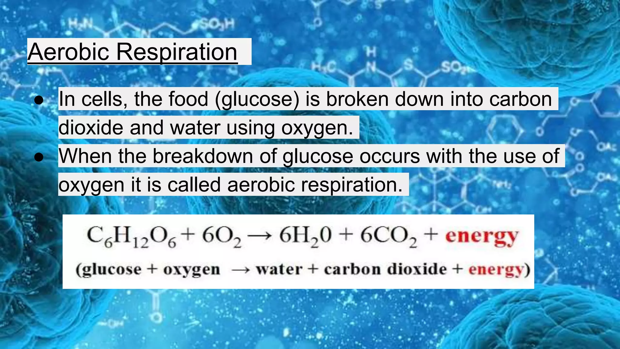 GRADE 7 CBSE CHAPTER 10 RESPIRATION IN ORGANISMS | PPTX