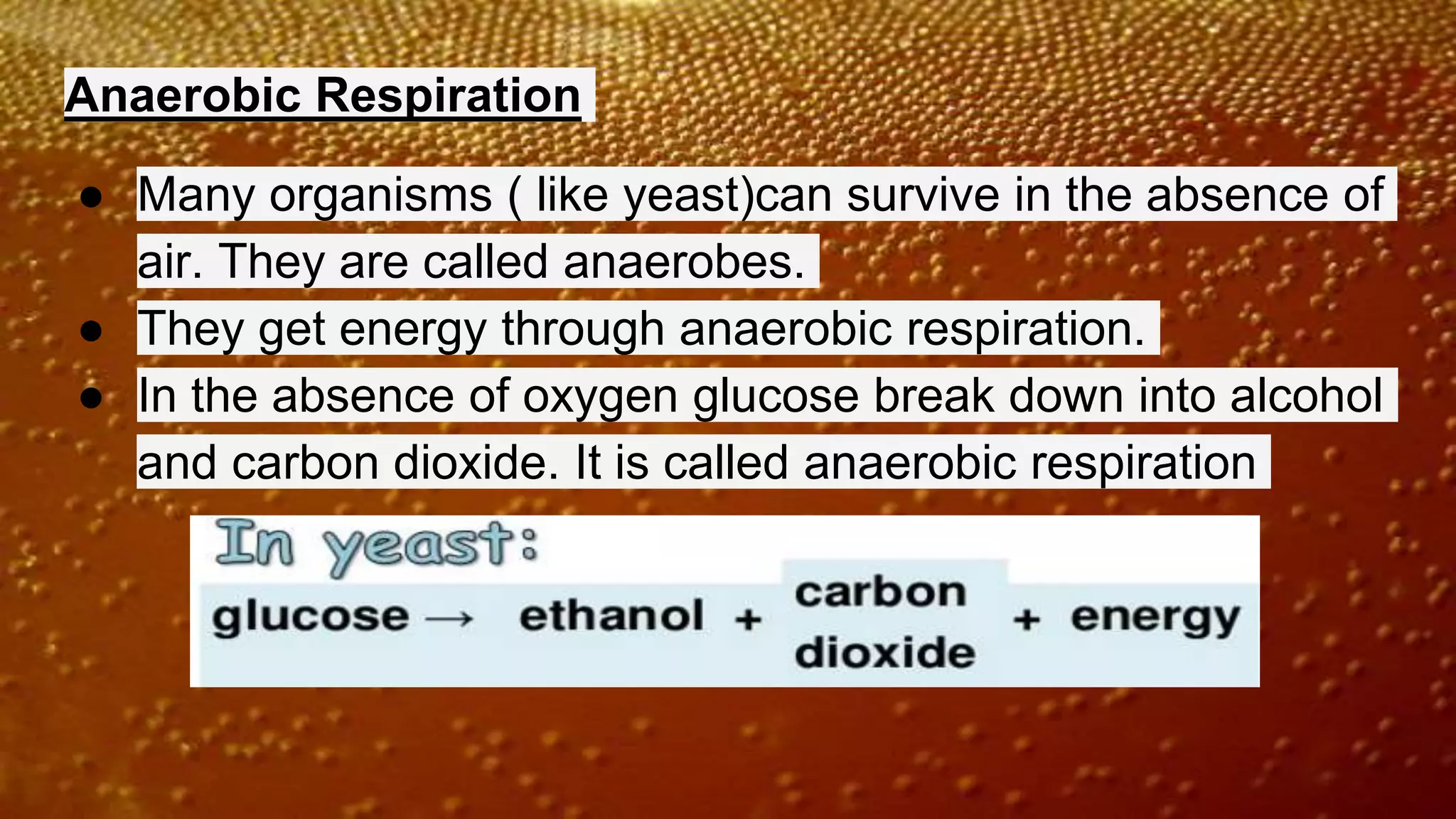 GRADE 7 CBSE CHAPTER 10 RESPIRATION IN ORGANISMS | PPTX