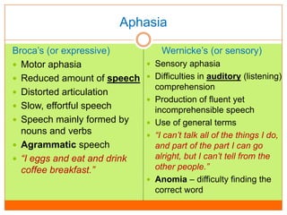 Origins of Language and Language and the Brain | PPTX