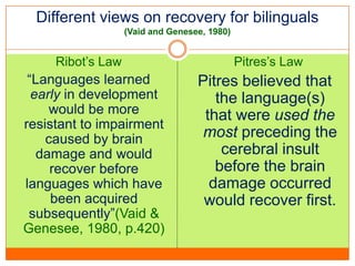 Origins of Language and Language and the Brain | PPTX