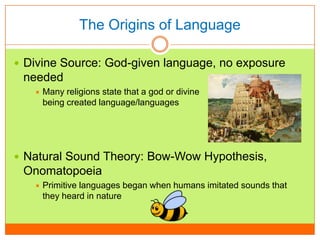 Origins of Language and Language and the Brain | PPTX