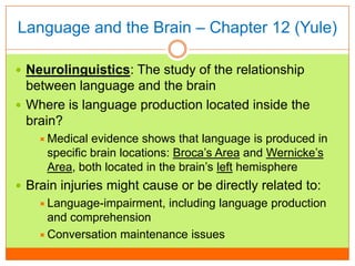 Origins of Language and Language and the Brain | PPTX