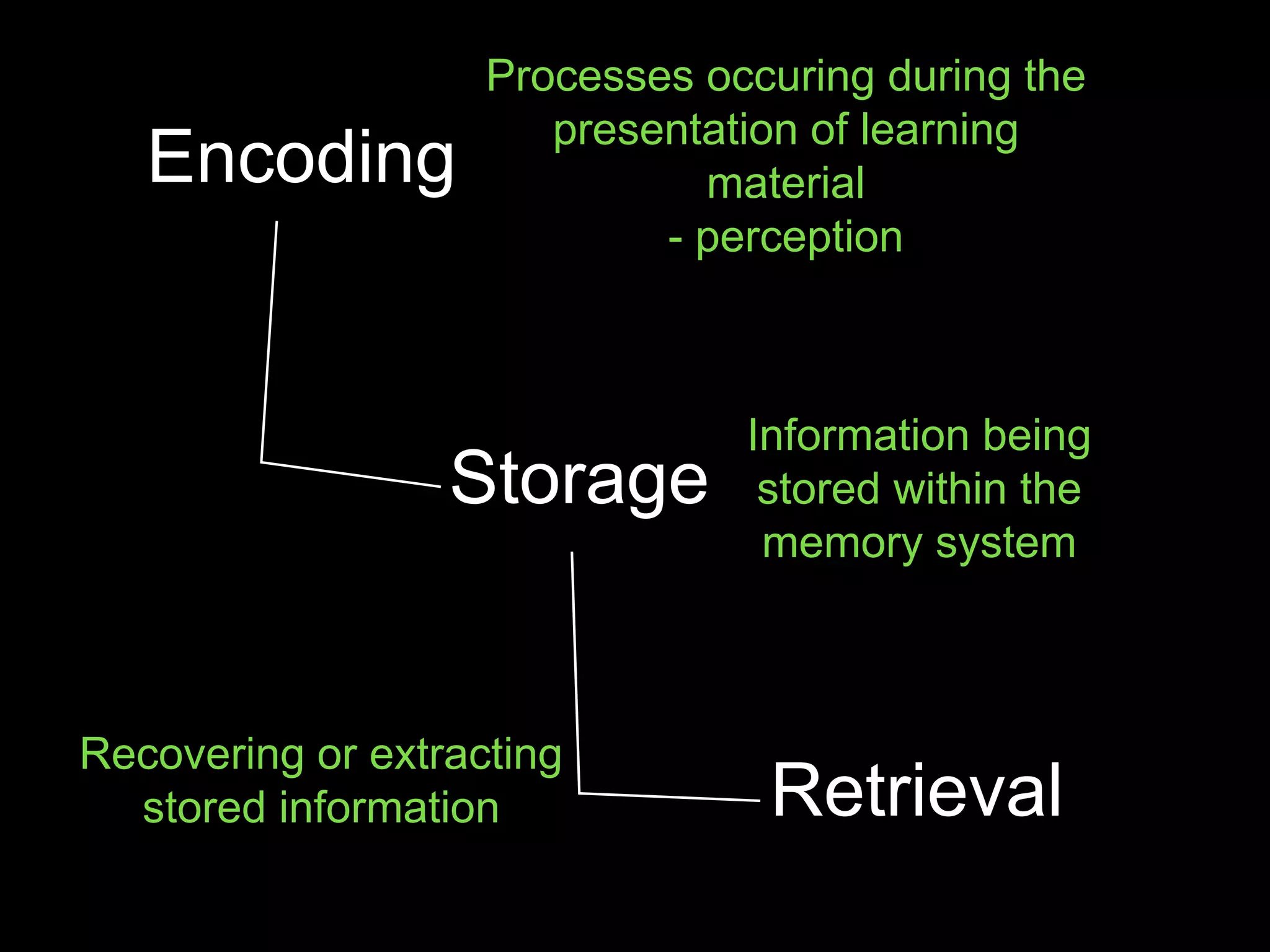 Cognitive Processes and Memory | PPTX