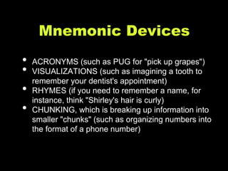 Cognitive Processes and Memory | PPTX