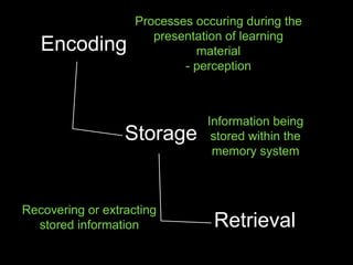 Cognitive Processes and Memory | PPTX