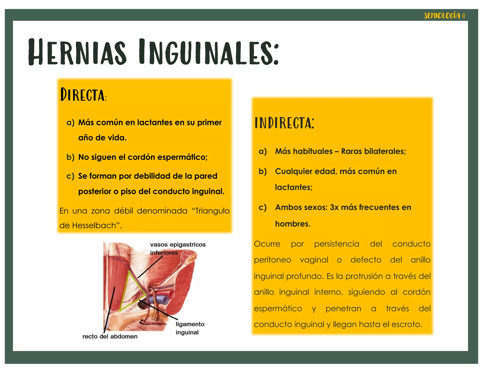 Hernias Abdominales | PDF