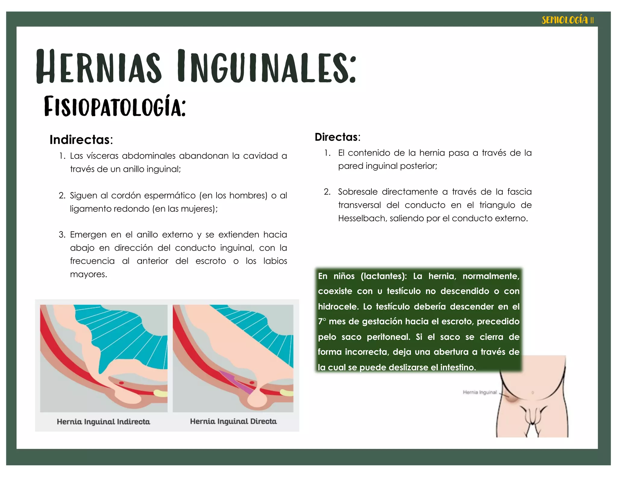 Hernias Abdominales | PDF