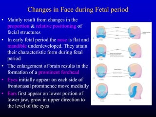 Development of Face, oral cavity and pharyngeal arches .ppt