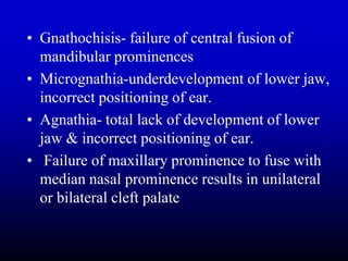 Development of Face, oral cavity and pharyngeal arches .ppt