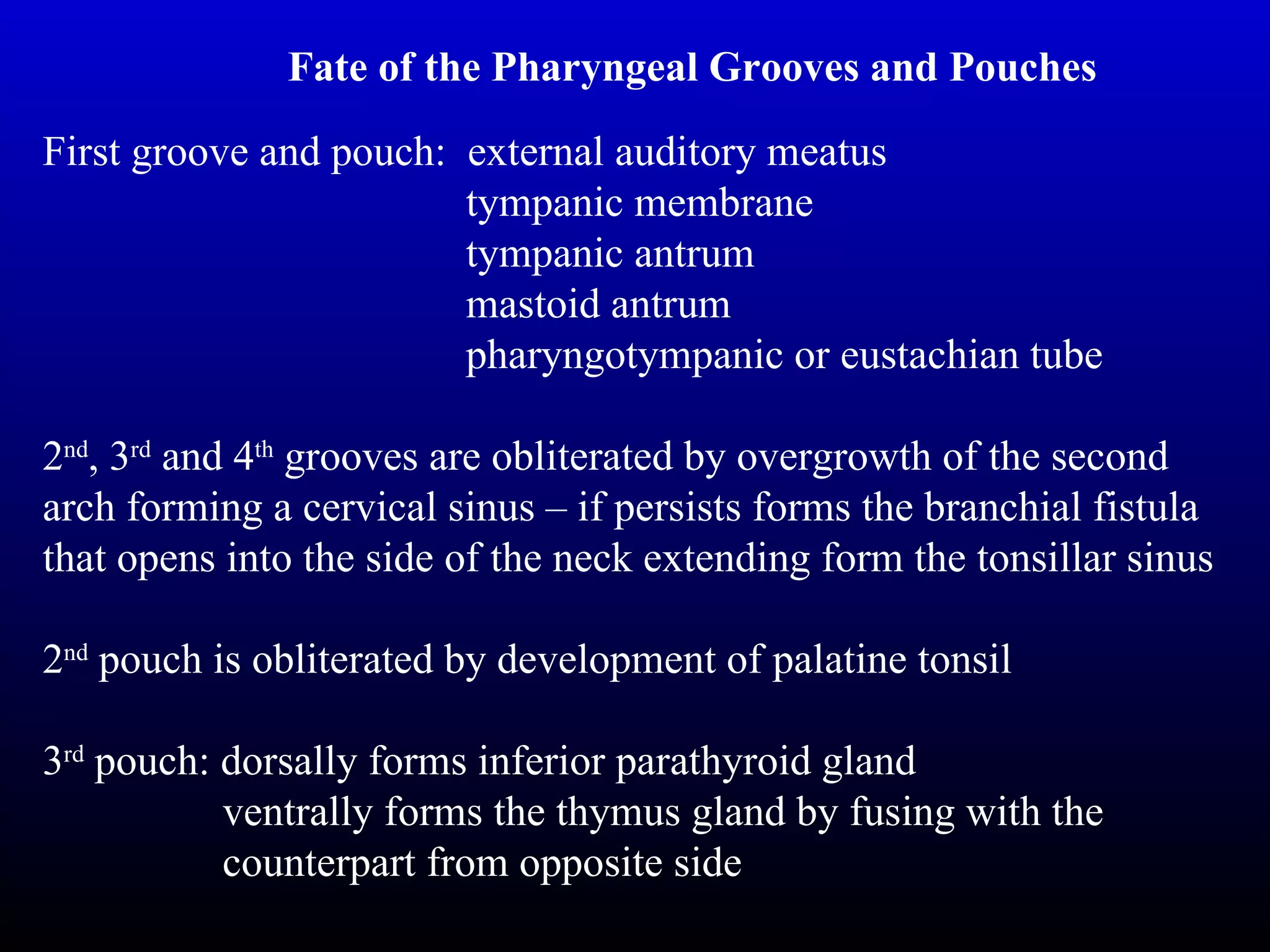Development of the Face, Oral Cavity & Pharyngeal arches | PPT