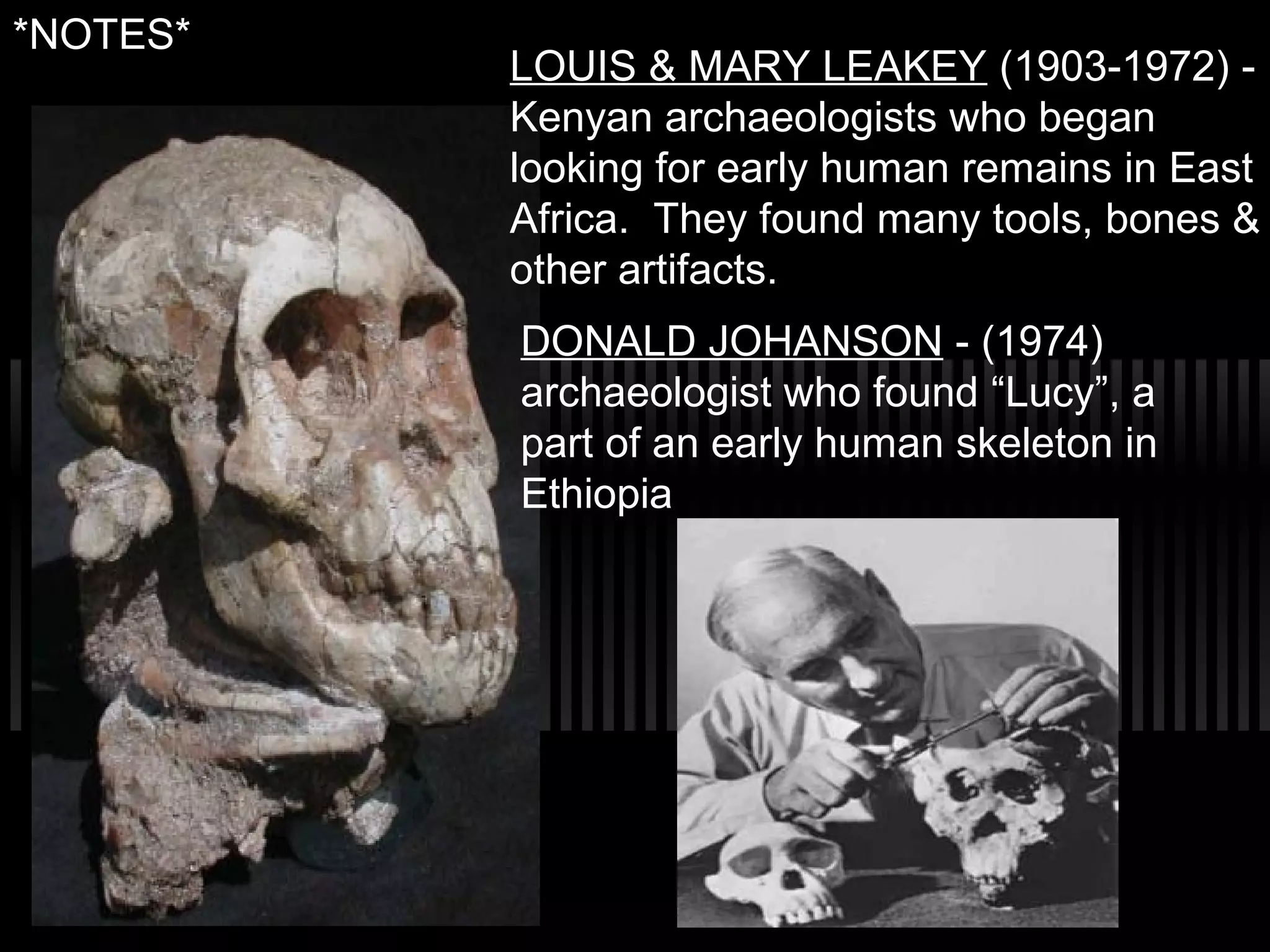 01 early humans | PPT