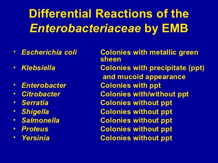 Enterobacteriaceae basic properties
