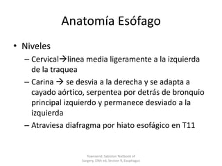 Esofago, Embriologia, Anatomía y Fisiología | PPTX