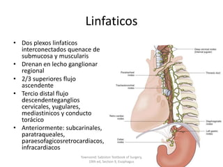 Esofago, Embriologia, Anatomía y Fisiología | PPTX