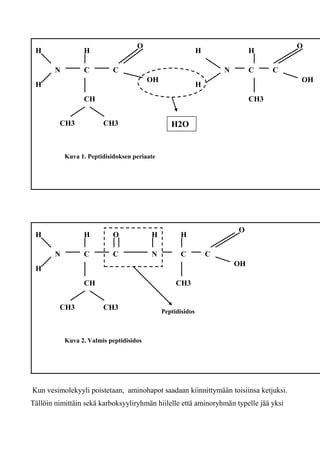 01.evolutiikan perusteet | PDF
