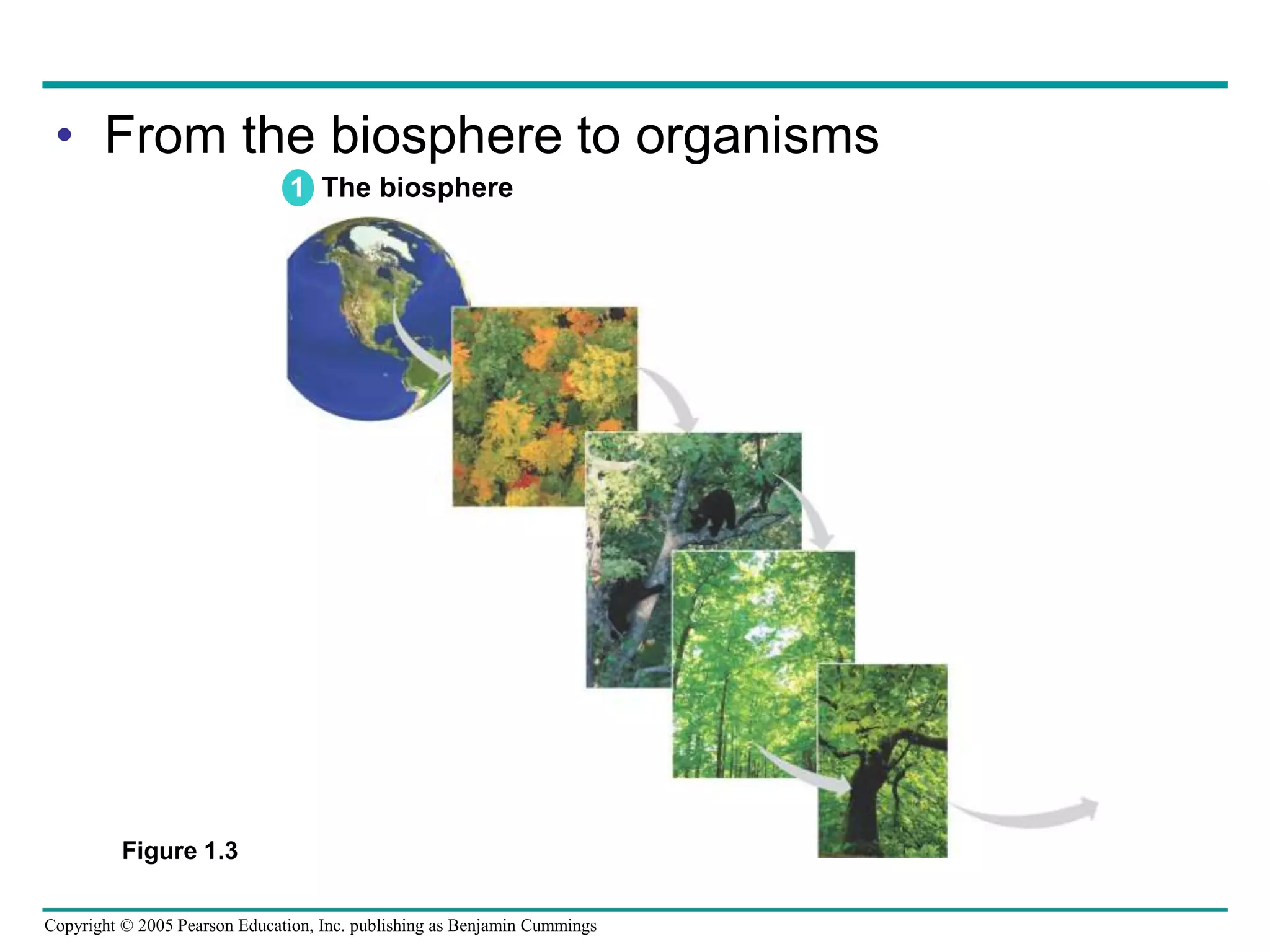 01-exploring biology text.ppt