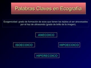 01 fundamentos de la ecografia uda 2 (1) | PPT