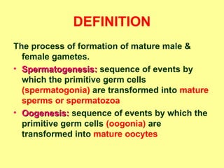 01-Gametogenesis oogenesis spermatogenesis.ppt