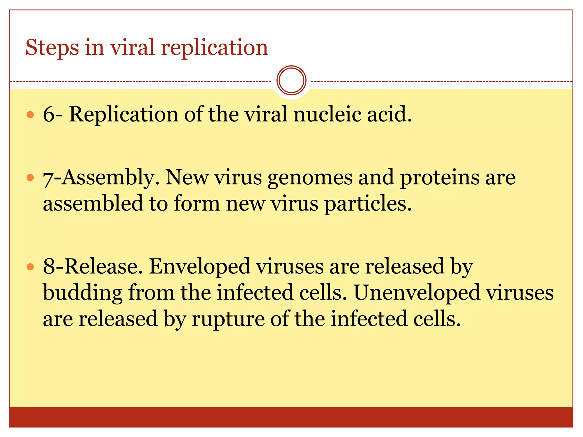 01 general structure and classification of viruses1 | PPT