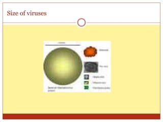 01 general structure and classification of viruses1 | PPT
