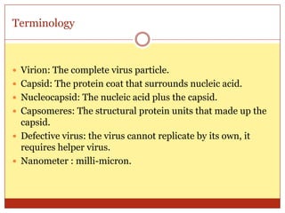01 general structure and classification of viruses1 | PPT